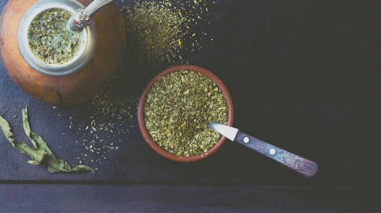 What’s the Difference Between Matcha and Mate? – Better & Betterer