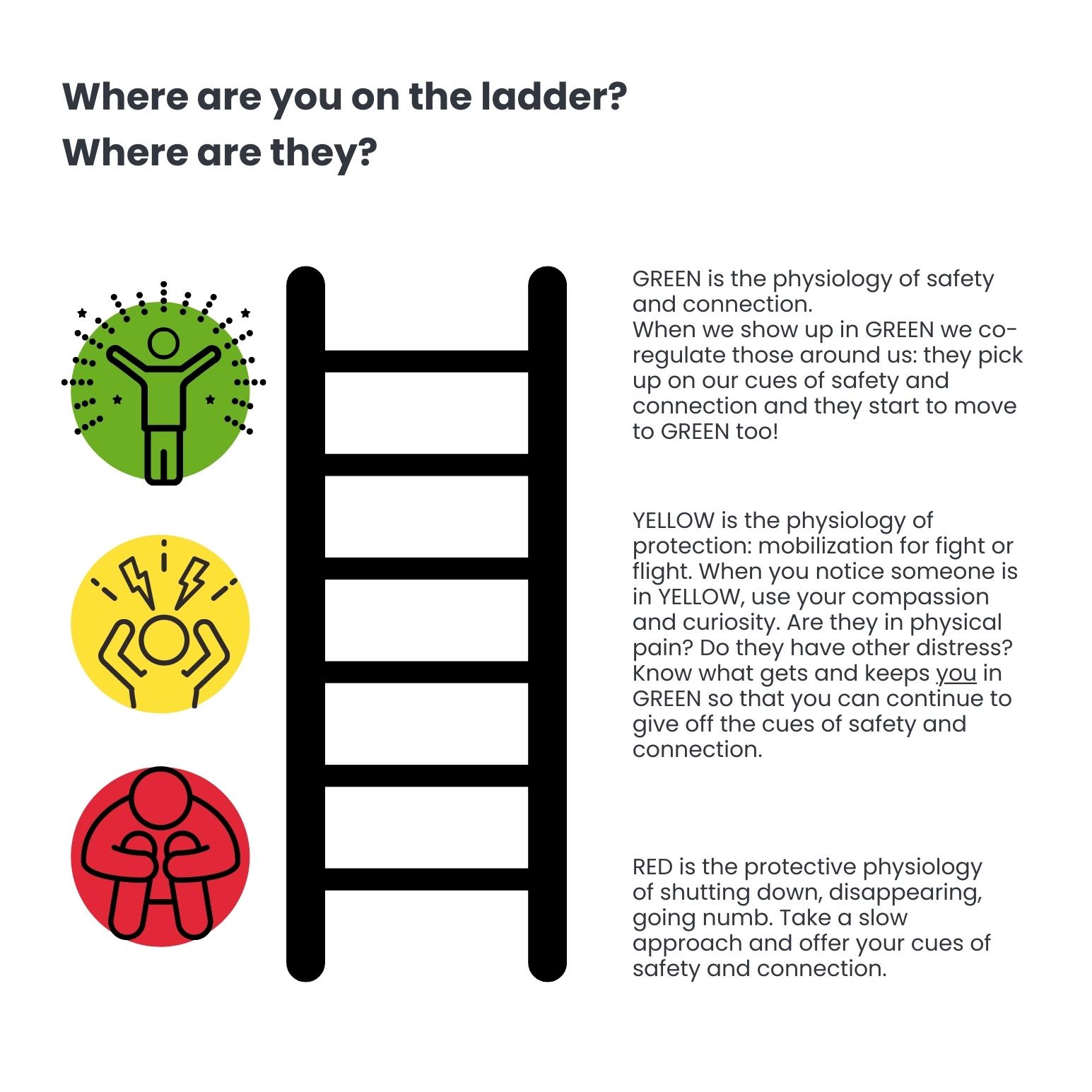 Episode 27: Befriending Your Inner Ladder with Sarah Chopra, Naturopath ...