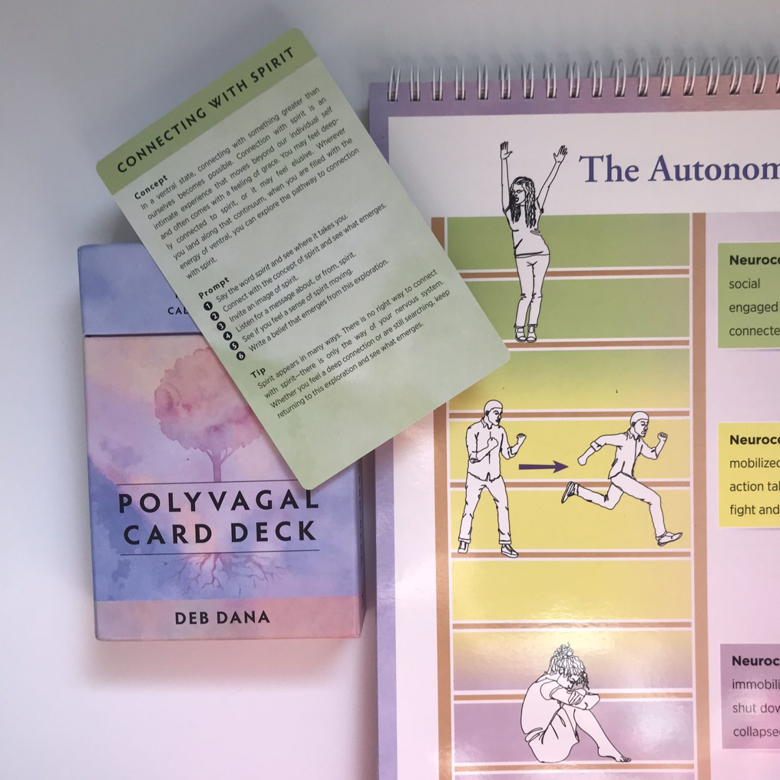 Body Physiology, Brainwaves, and Spiritual Connection – Better & Betterer