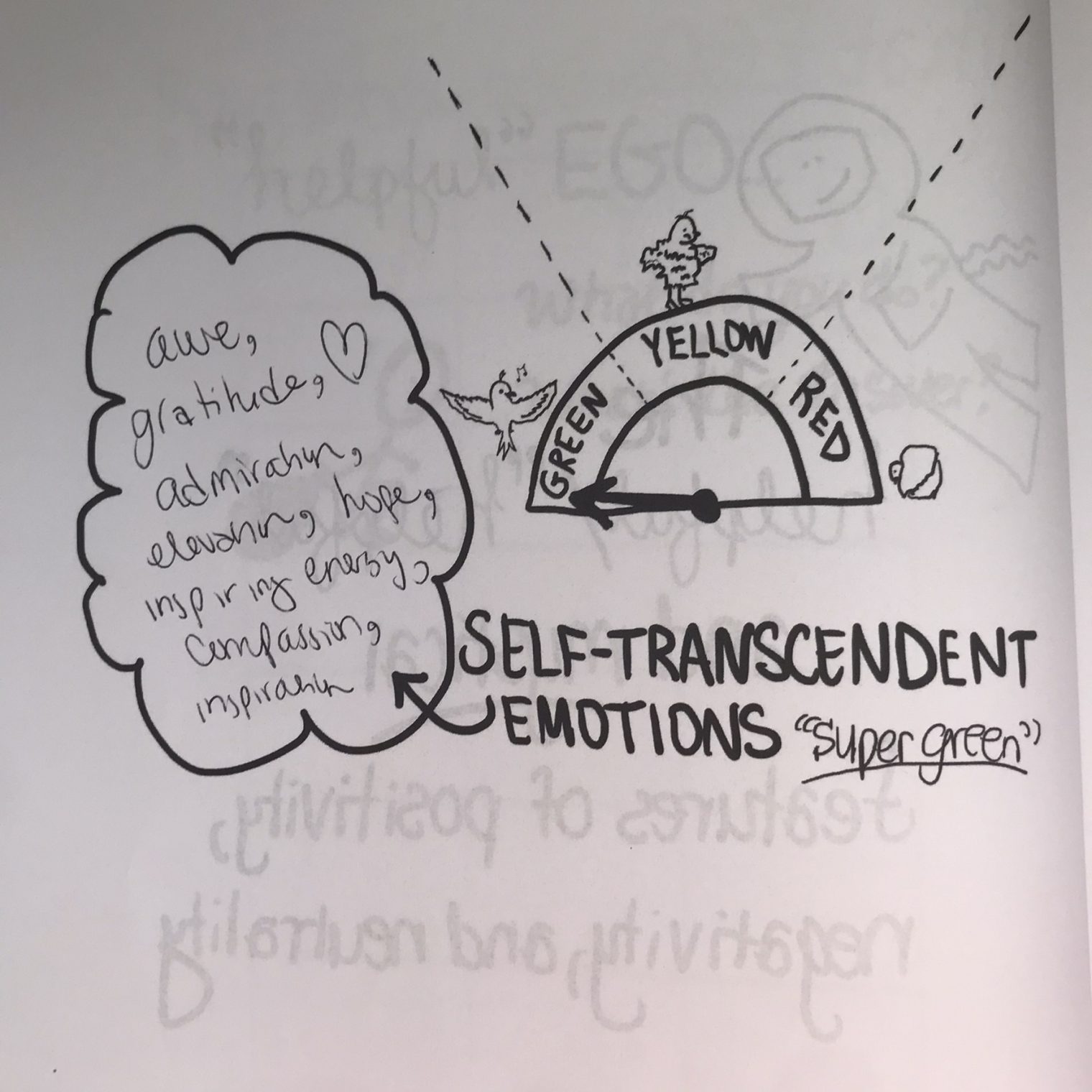 Body Physiology, Brainwaves, and Spiritual Connection – Better & Betterer